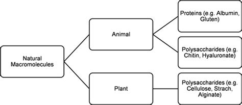 The Fabrication Of Composite Material Based On Natural Macromolecules A Review