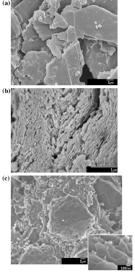 Sem Microstructure Of A The Pristine Graphite Powder B The Download Scientific Diagram