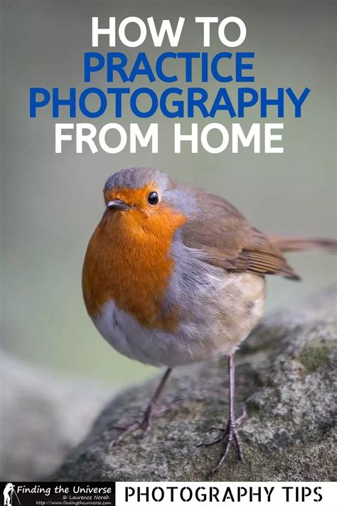 How To Photograph Birds In Flight The Easy Way Artofit