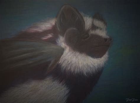 Pied Bat By Pterolycus On Deviantart