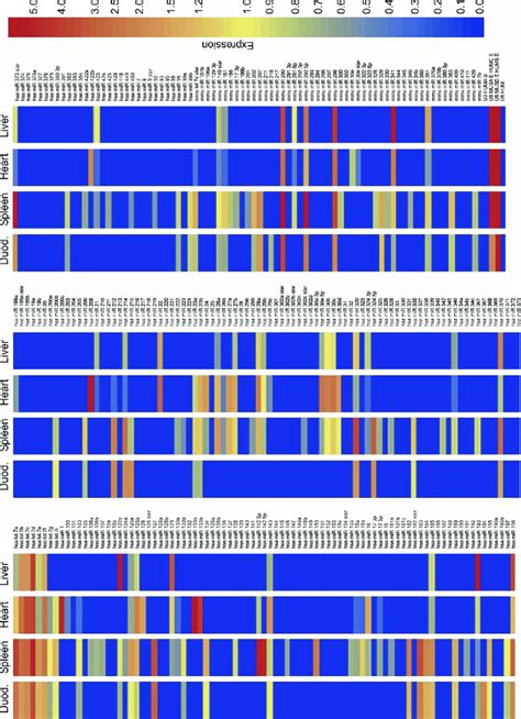 Genome Wide Mirna Profiling Using Michip Mirna Expression Profiles