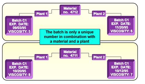 How To Optimize Batch Management In Sap How To Optimize Batch Management In Sap