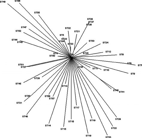split decomposition analysis of the concatenated sequences of the seven