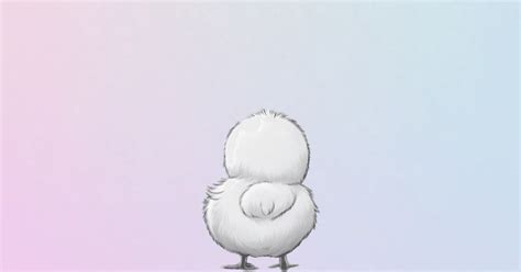 じこはおこるさ｜ひよこ🐤🔰