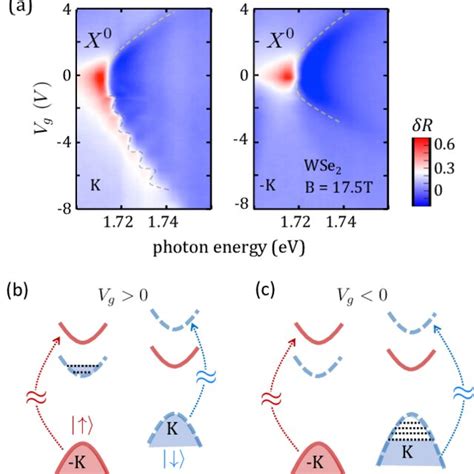 Helicity Resolved Magneto Optical Reflectance Spectra Of The Neutral Download Scientific