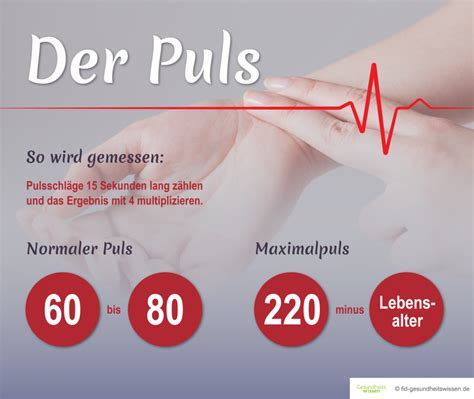 Ein Normaler Puls Sollte Pro Minute 60 Bis 80 Mal Schlagen Steigt Der