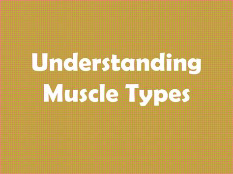MUSCULAR SYSTEM. - ppt download