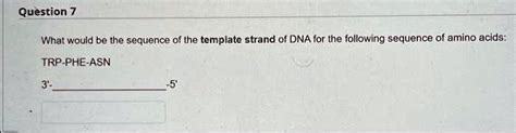 solved question 7 what would be the sequence of the template strand of dna for the following