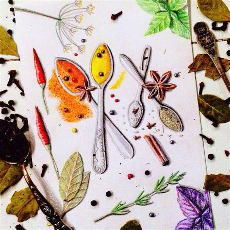 Иллюстрация Специи в стиле скетчи