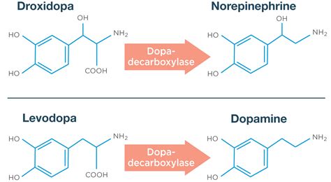 Northera® Droxidopa Pharmacology