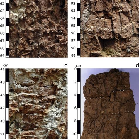 Porechie Key Site Angular Subangular Blocky Structure In The 2bt1