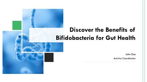 Discover The Benefits Of Bifidobacteria For Gut Health Ppt Example St Ai