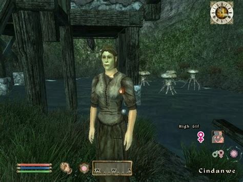 Dukky Actor Hud Other Loverslab