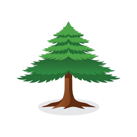 Cedar Tree Isolated Flat Illustration On White Background 50560213 Vector Art At Vecteezy