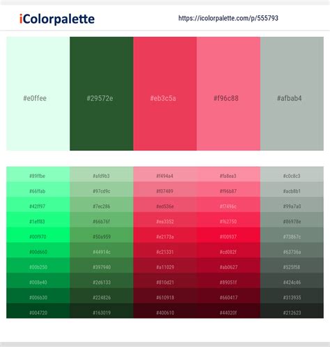 770 Latest Color Schemes With Amaranth Color Tone Combinations 2023