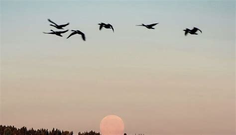 Fortsättning På Lösning För Han Ville Ha Sex För Att Vilja Ha Närhet