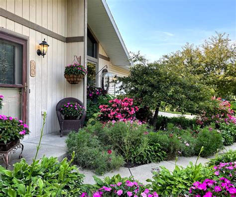 What Shape Should My Shrubs Be How To Choose The Right Shape For Your