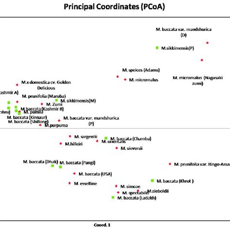 Principal Coordinate Analysis Pcoa Of Malus Genotypes Based On Rapd