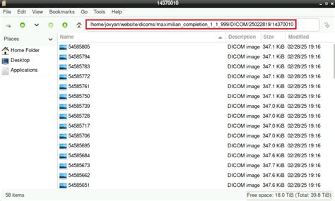 01 Dicom To Bids Visual Neuroscience Lab