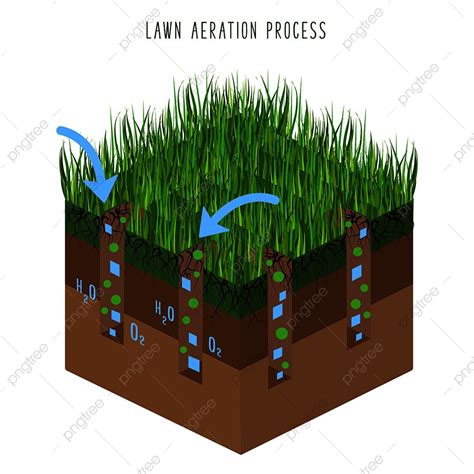 잔디밭 폭기 과정 벡터 잔디 색깔 인포 그래픽 외딴 Png 일러스트 및 벡터 에 대한 무료 다운로드 Pngtree