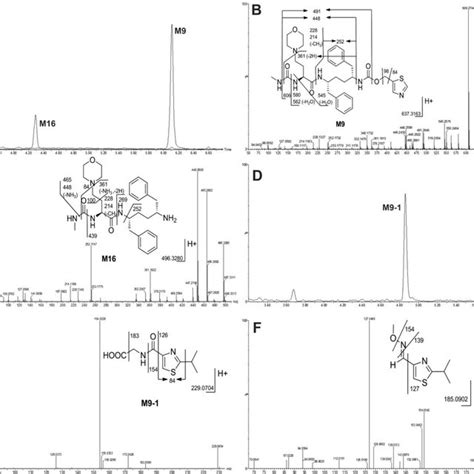 Chromatograms And Msms Structural Elucidation Of The Isopropylthiazole