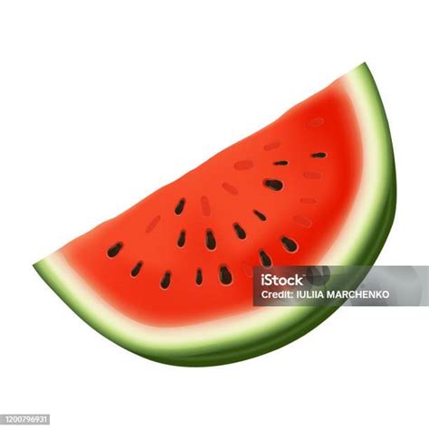 흰색 배경에 현실적인 스타일의 수박 벡터 수박 슬라이스 다이어트 영양 기호 기호입니다 여름 과일입니다 밝은 달콤한 색상입니다 맛있는 디저트 현실적인 스타일 신선한 과일 0