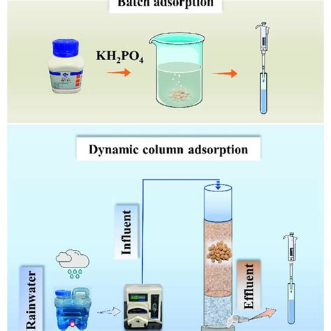 Schematic Of The Batch Adsorption And Column Experiment Download Scientific Diagram