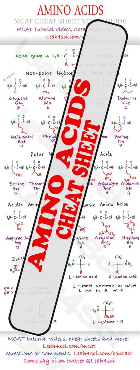 Mcat Amino Acids Cheat Sheet Pdf At Charlotte Smartt Blog