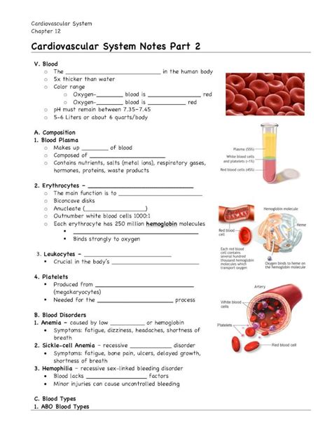 PDF Cardiovascular System Notes Part Soujourn Us Cardiovascular System Chapter