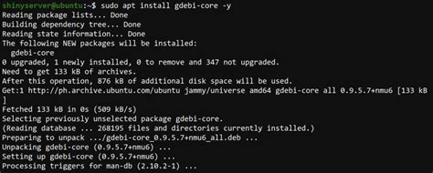 how to install shiny server on ubuntu
