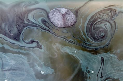 색상과 액체에 모션에 촬영 잉크는 물에 소용돌이입니다 흰색 바탕에 절연 물에 부드러운 잉크의 구름 물 추상 배너에에서 다채로운 잉크입니다 0명에 대한 스톡 사진 및 기타