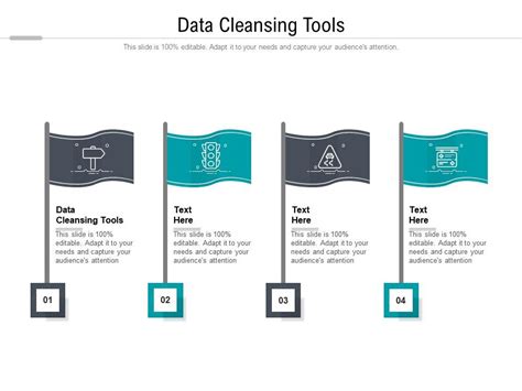 Data Cleansing Tools Ppt Powerpoint Presentation Pictures Skills Cpb Presentation Graphics