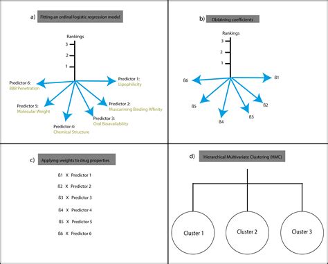 development of a machine learning derived anticholinergic burden scale