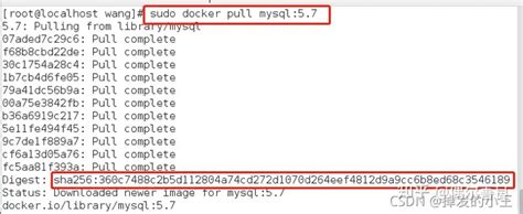 docker搭建elasticsearch、kibana、logstash 同步mysql数据到es yipianchuyun 博客园