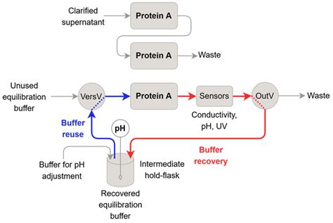 A Closer Look At Buffer Recycling For More Sustainable Bioprocessing