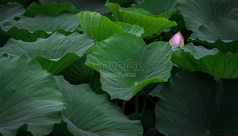 Xiahe Foto Descarga Gratuita Hd Imagen De Foto Lovepik