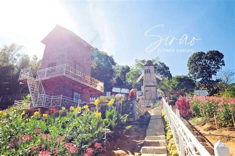Sirao Flower Garden The Little Amsterdam Of Cebu City My Wander