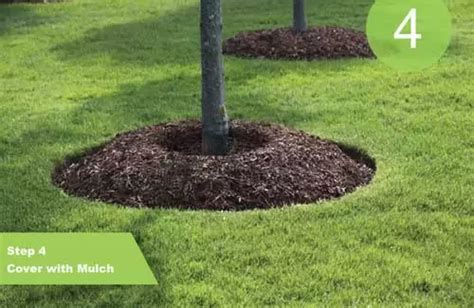 Landscape Architect Articles