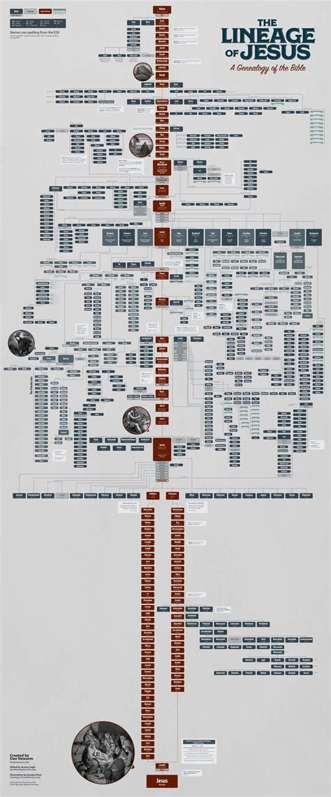The Lineage Of Jesus A Genealogy Of The Bible Genealogy Of Jesus