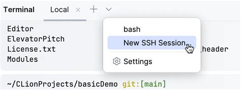 Terminal Emulator Clion Documentation Terminal Emulator Clion Documentation