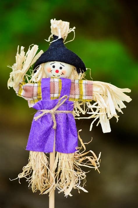Espantapájaros Vestido Para La Decoración En Un Jardín Verde De La ...