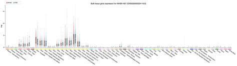 How Can Get Rid Of Primer Dimer Researchgate