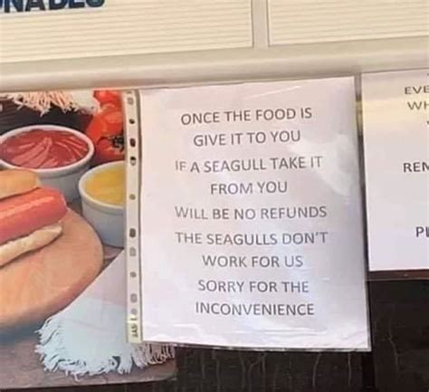 Humor Api Jokes Puns S And Memes Galore