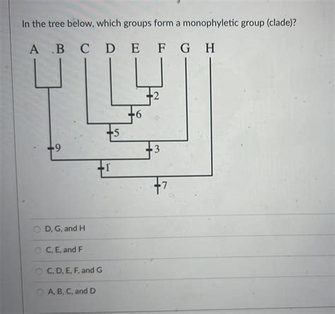 [answered] In The Tree Below Which Groups Form A Monophyletic Group Kunduz