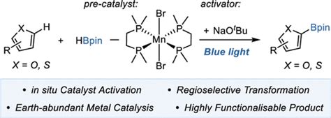 锰催化的呋喃和噻吩衍生物的c sp 2 h 硼酸化 acs catalysis x mol