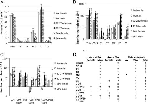 Flow Cytometric Analysis Of B And T Cell Subsets A Percentage And
