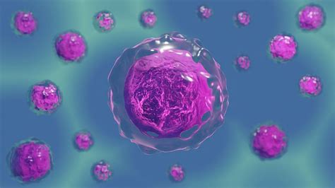 Sartorius Unveils Livecell A Deep Learning Dataset For Label Free