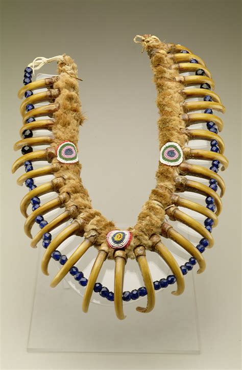 Real Bear Claw Necklace