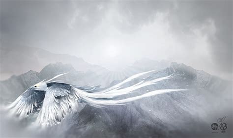 White Phoenix HD wallpaper | Pxfuel