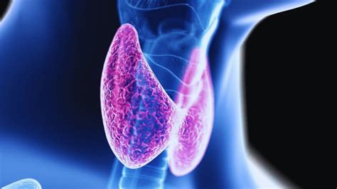 Nourish Your Thyroid Expert Reveals Key Nutrients For Optimal Thyroid Function Ndtv Food